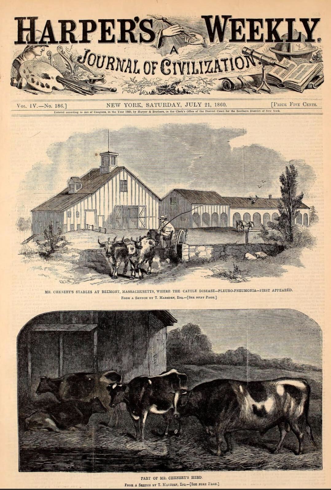 The History of a One-Cow Town - The Belmont Voice